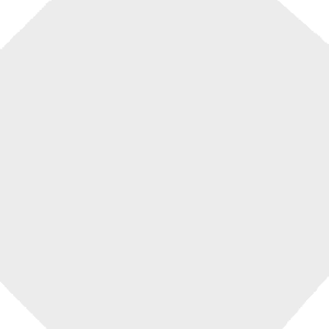 Alaska Octagonal - Bristol Tile